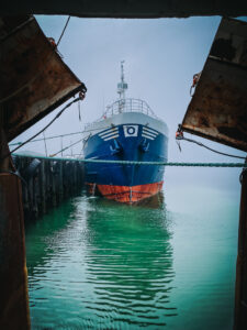 Yellowfin Sole | Mild and Sweet Flavor with Firm Texture